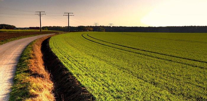 Tarla kira sözleşmesi