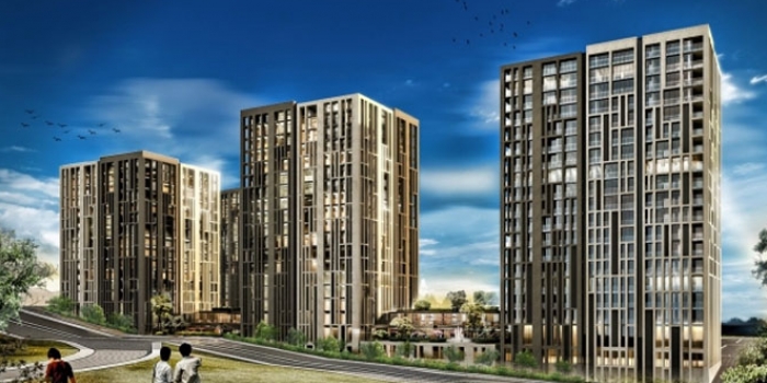 Mesturkuaz Merter projesi!